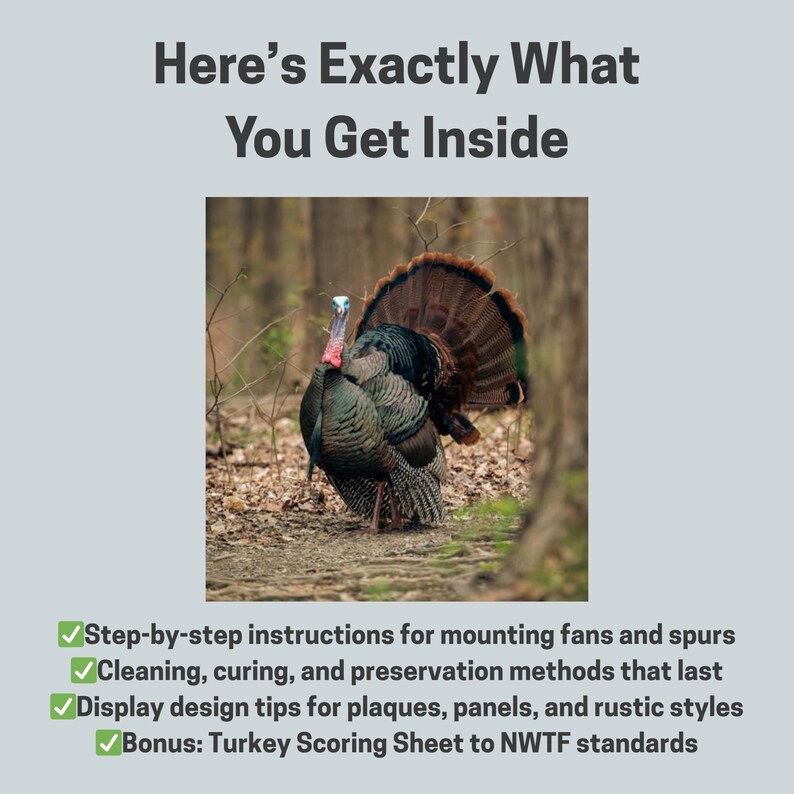 Ultimate Turkey Hunting Bundle – Field Strategy, Behavior, Mounting | 3 ...