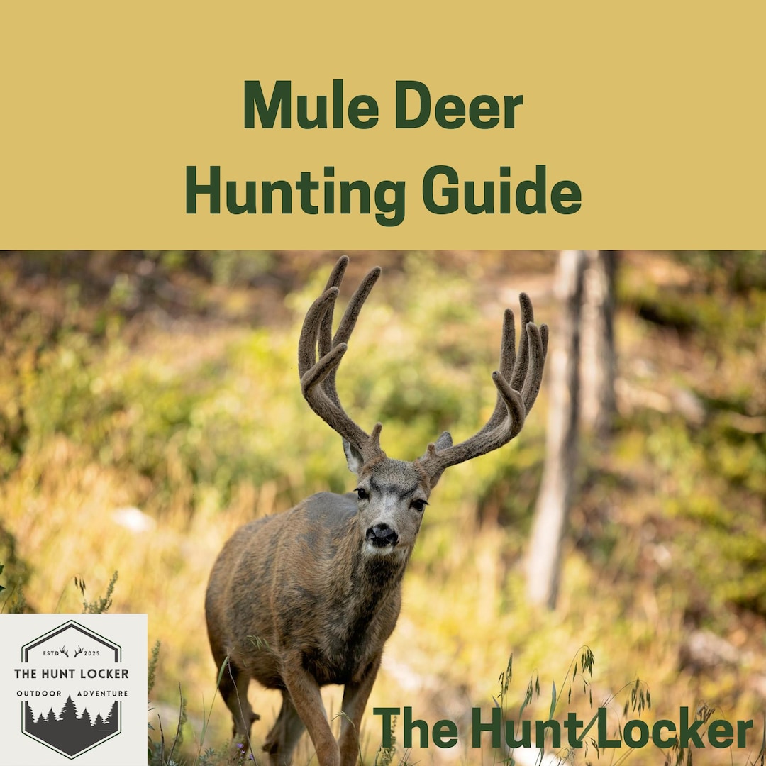 Mule Deer Hunting Guide: Mastering the Hunt for Western Icons - Etsy