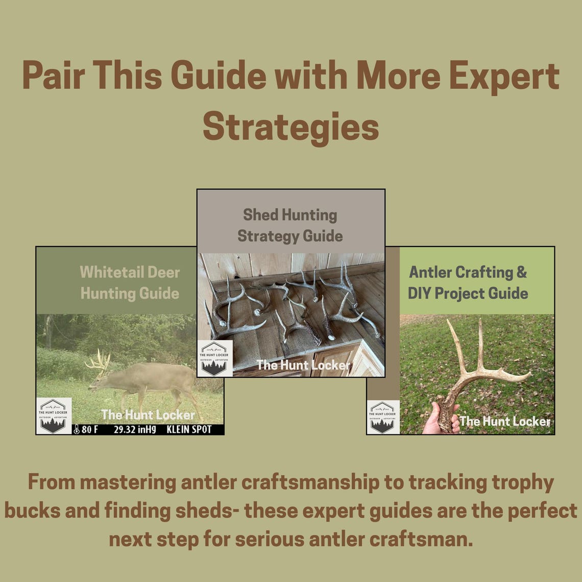 Antler Scoring Guide: Official Methods and DIY Tips for Measuring ...