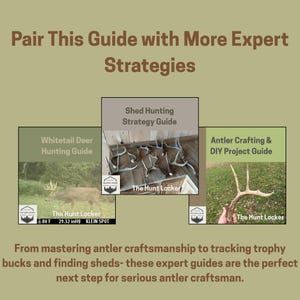Antler Scoring Guide: Official Methods and DIY Tips for Measuring ...