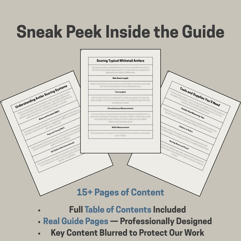 Antler Scoring Guide: Official Methods and DIY Tips for Measuring ...