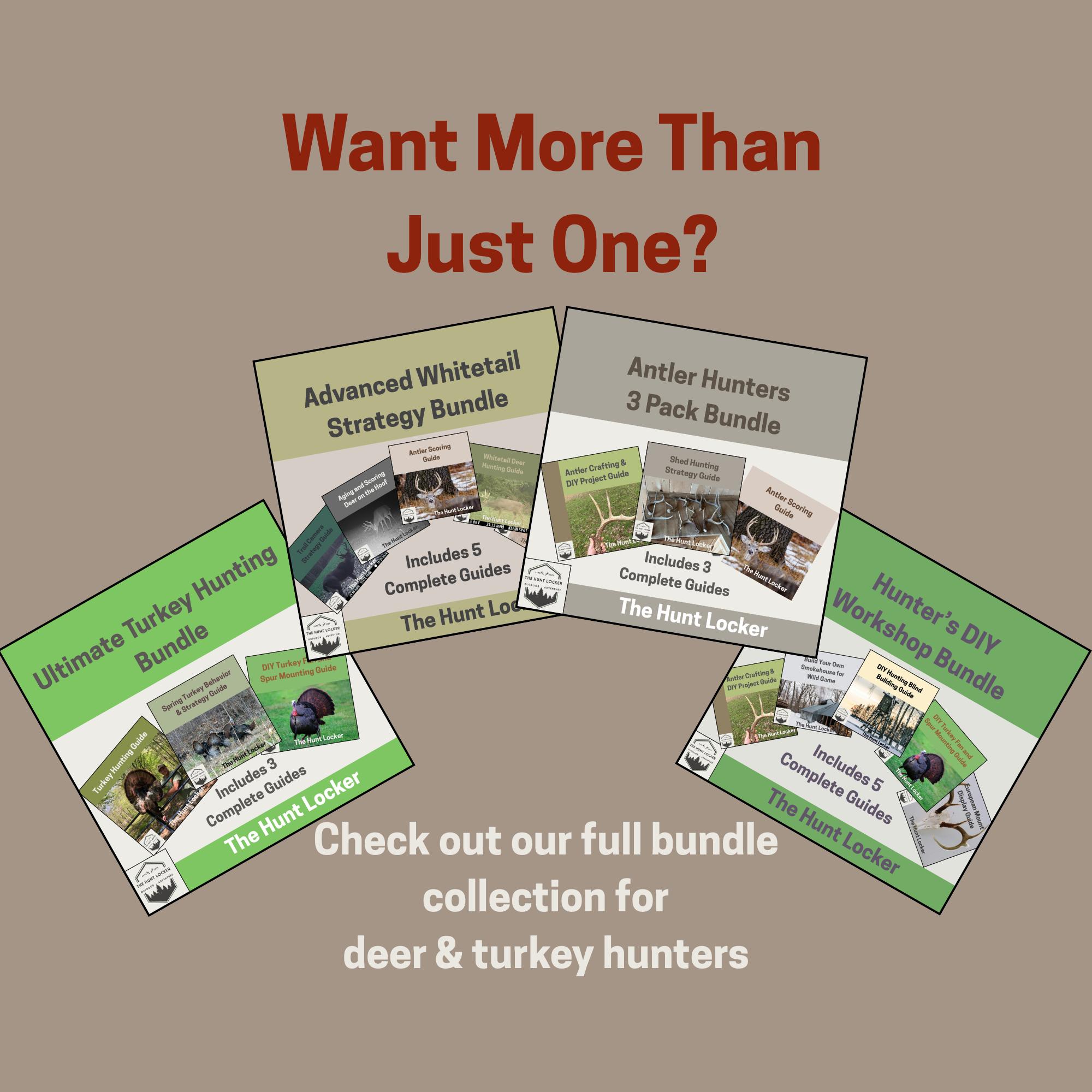 Antler Scoring Guide: Official Methods and DIY Tips for Measuring ...