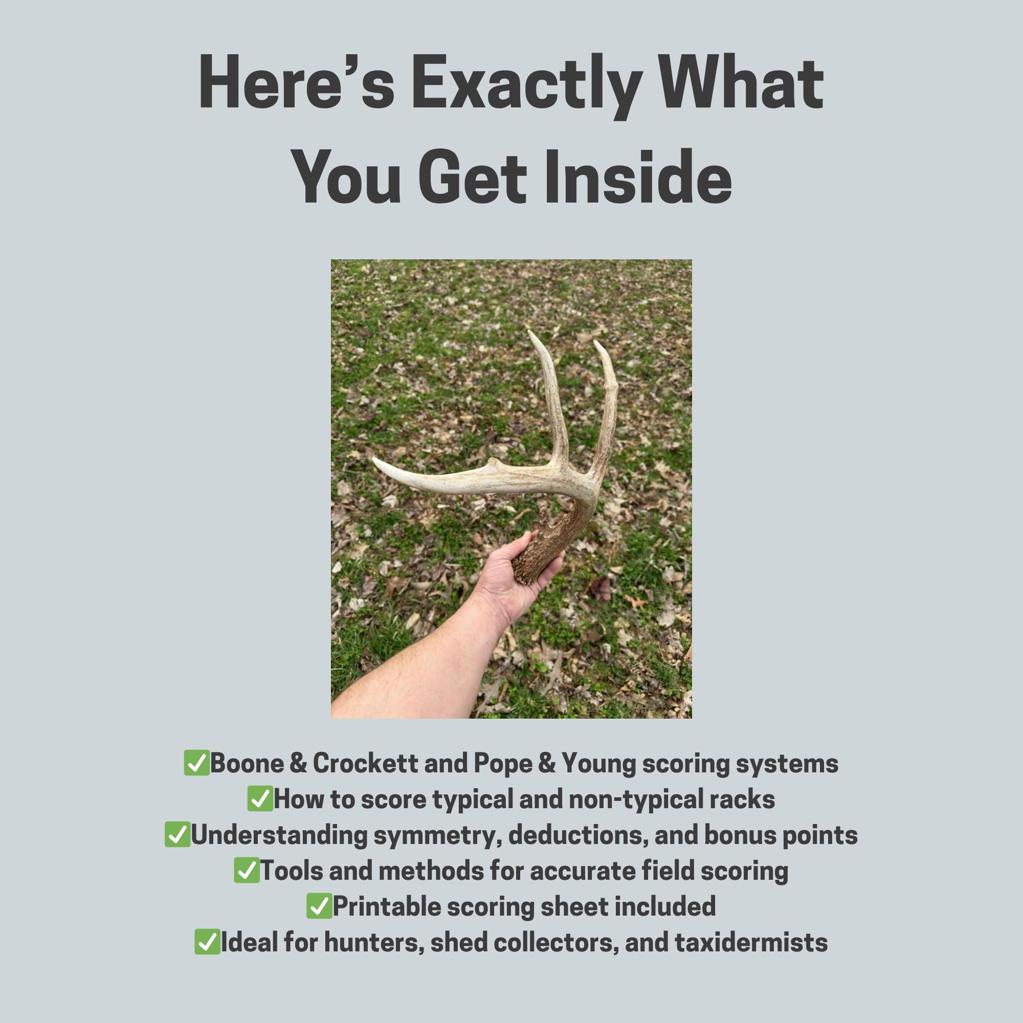 Antler Scoring Guide: Official Methods and DIY Tips for Measuring ...