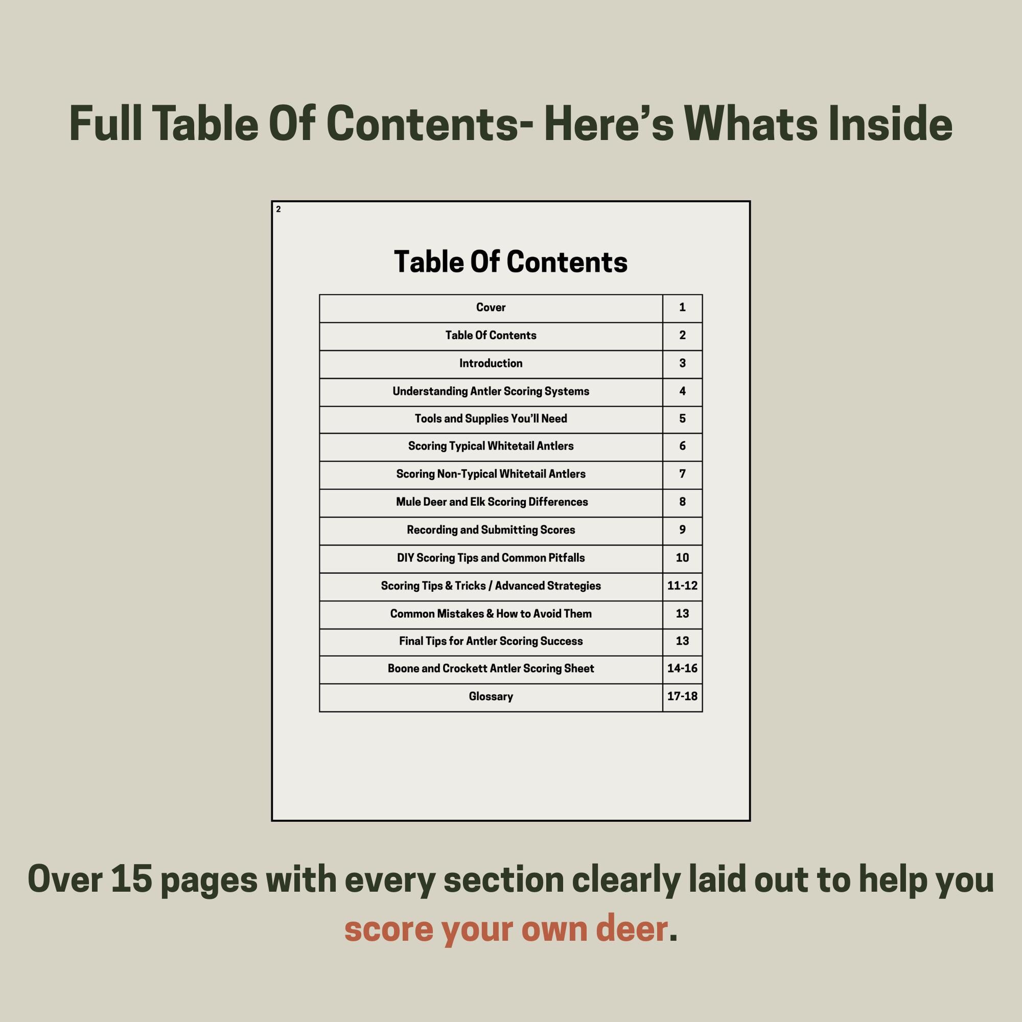 Antler Scoring Guide: Official Methods and DIY Tips for Measuring ...