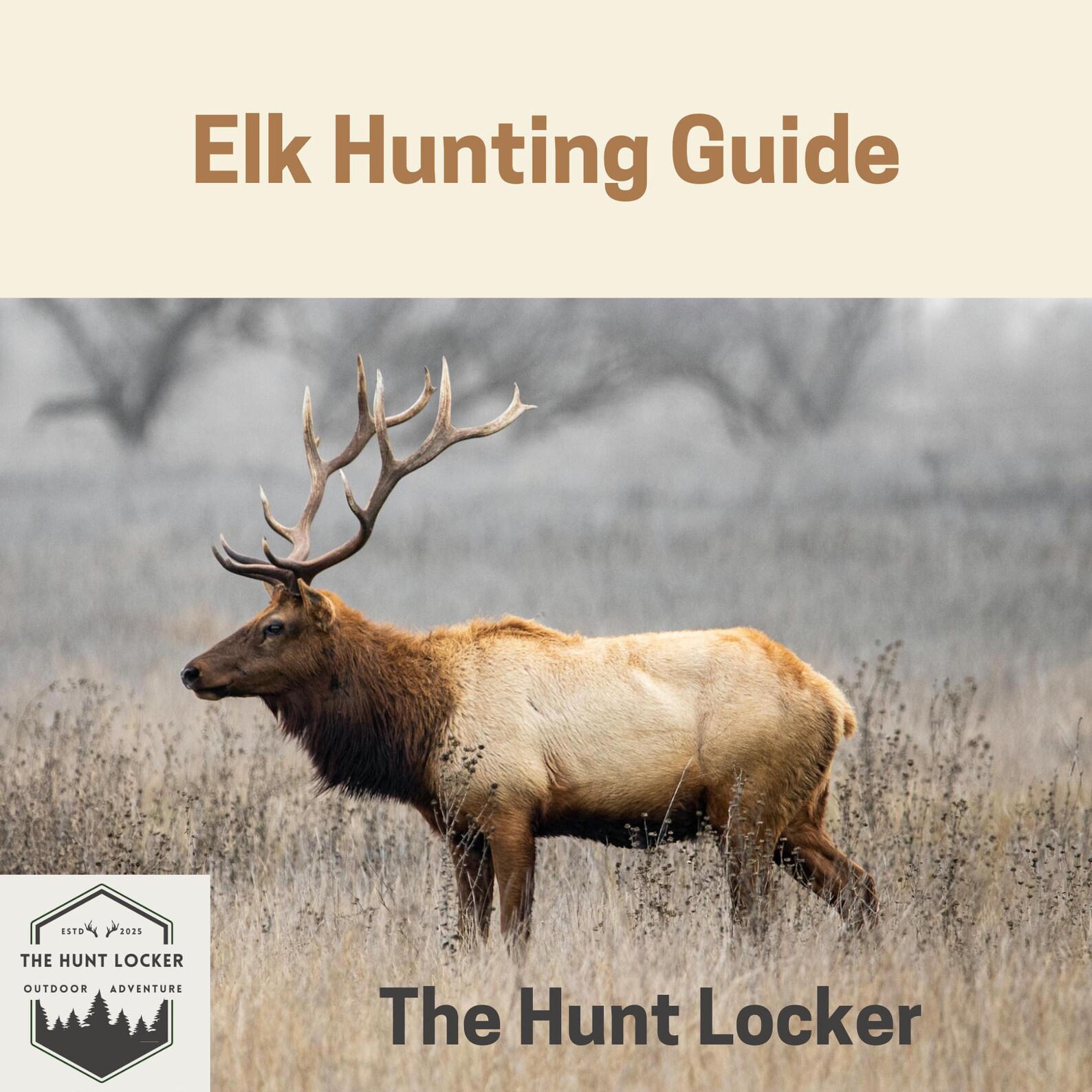 Elk Hunting Guide: Backcountry Strategies, Scouting Techniques ...