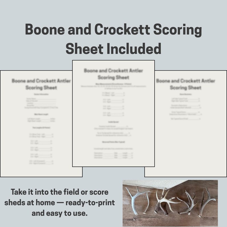 Antler Scoring Guide: Official Methods and DIY Tips for Measuring ...
