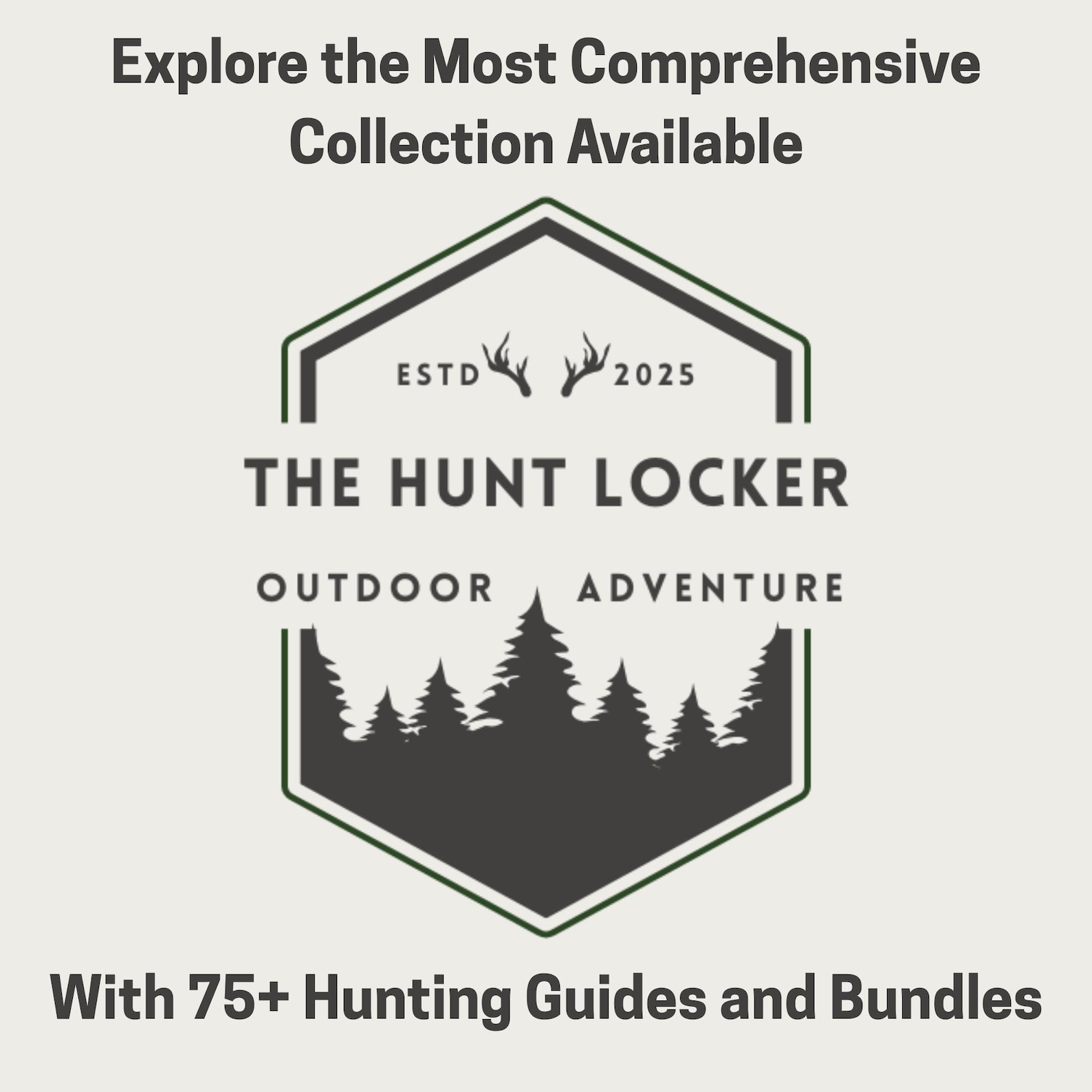 Antler Crafting DIY Project Guide: Rustic Home Decor Ideas (digital PDF ...