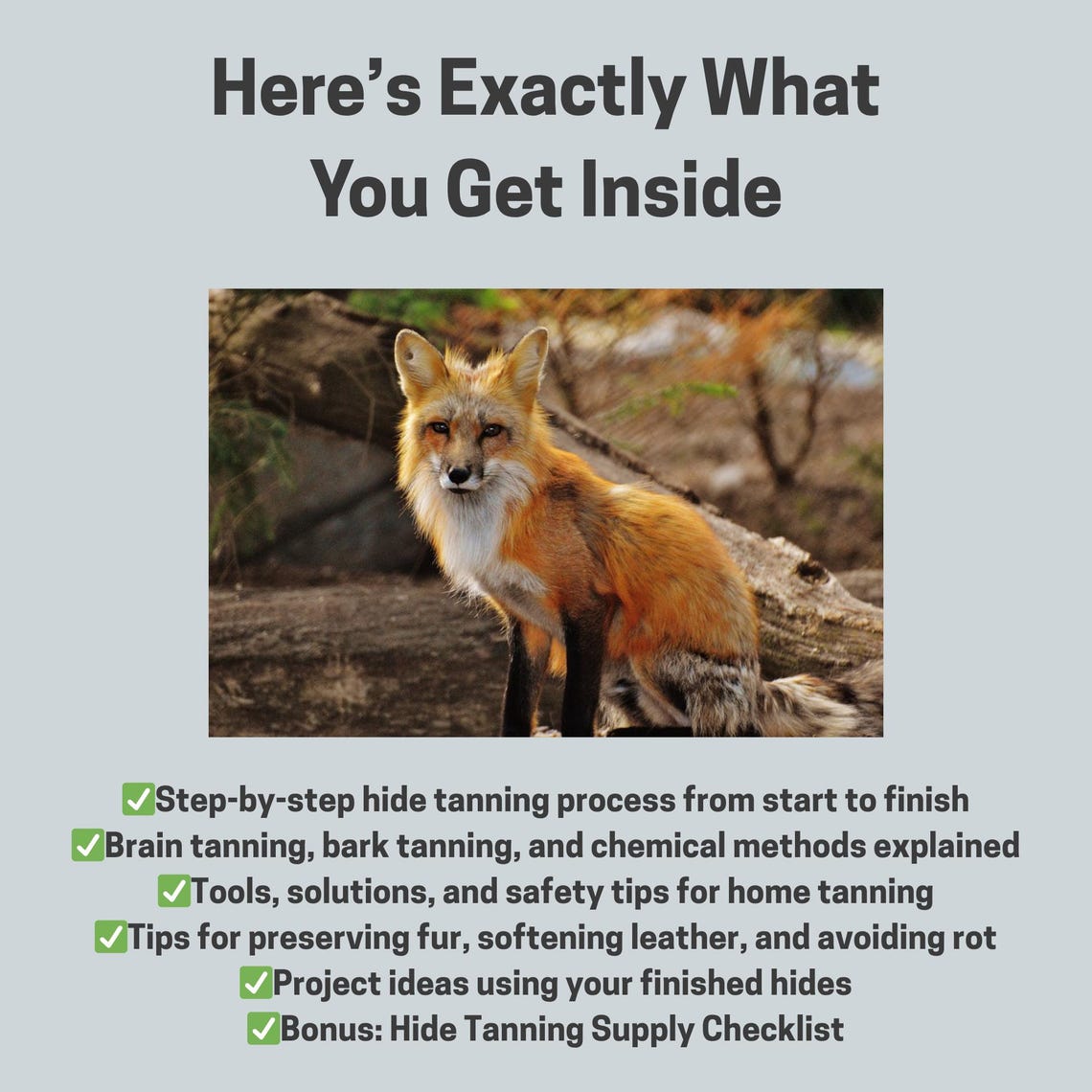 Hide Tanning & Preservation Guide: Deer Hides, Furs (digital Download ...