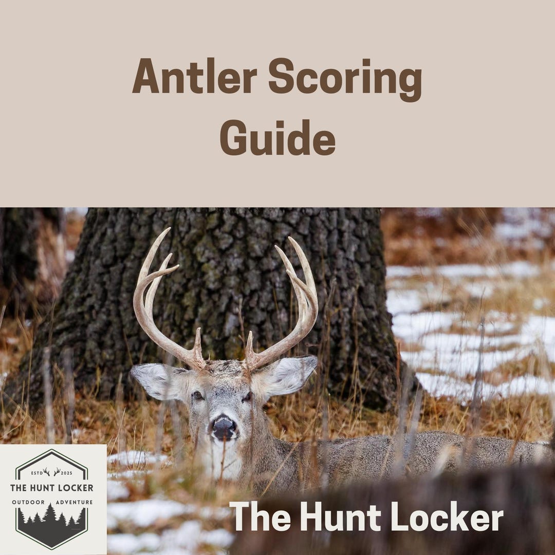 Antler Scoring Guide: Official Methods and DIY Tips for Measuring ...
