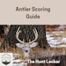 Antler Scoring Guide: Official Methods and DIY Tips for Measuring ...