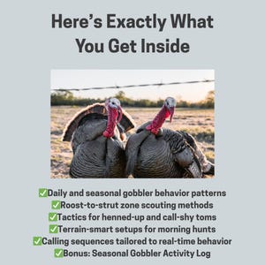 Ultimate Turkey Hunting Bundle – Field Strategy, Behavior, Mounting | 3 ...