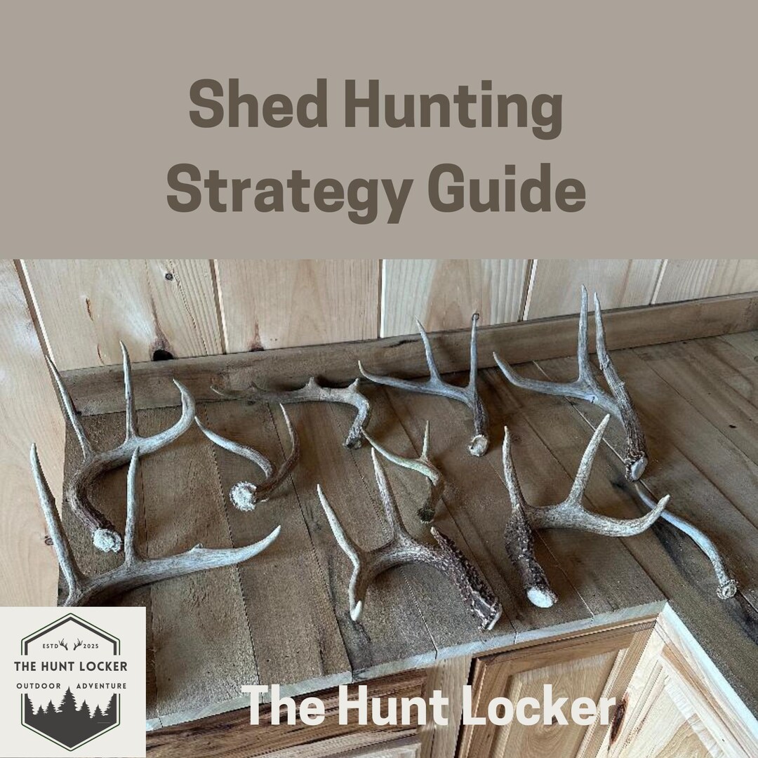 Shed Hunting Strategy Guide/ Find More Antlers This Season - Etsy