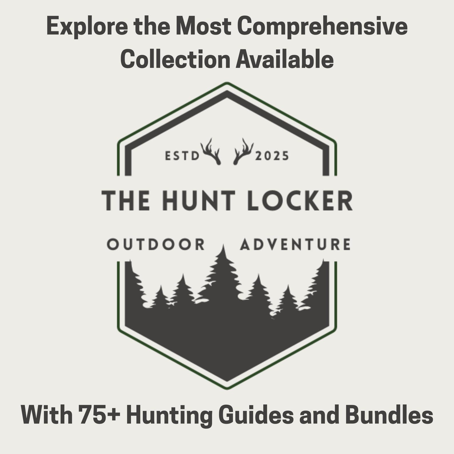 Rustic Hunting Cabin Blueprint Kit: Layout Ideas, Space Planning & DIY ...