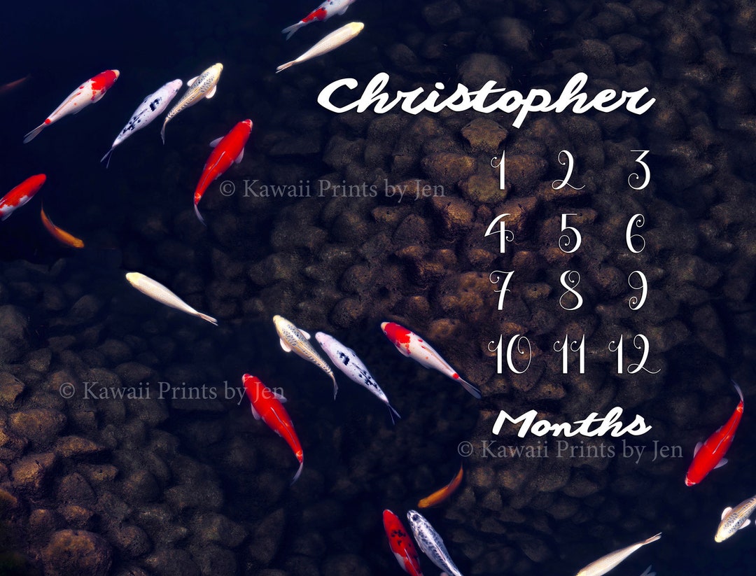 Koi Fish Pond Baby MONTHLY MILESTONE BLANKET, Calendar, Track Growth ...