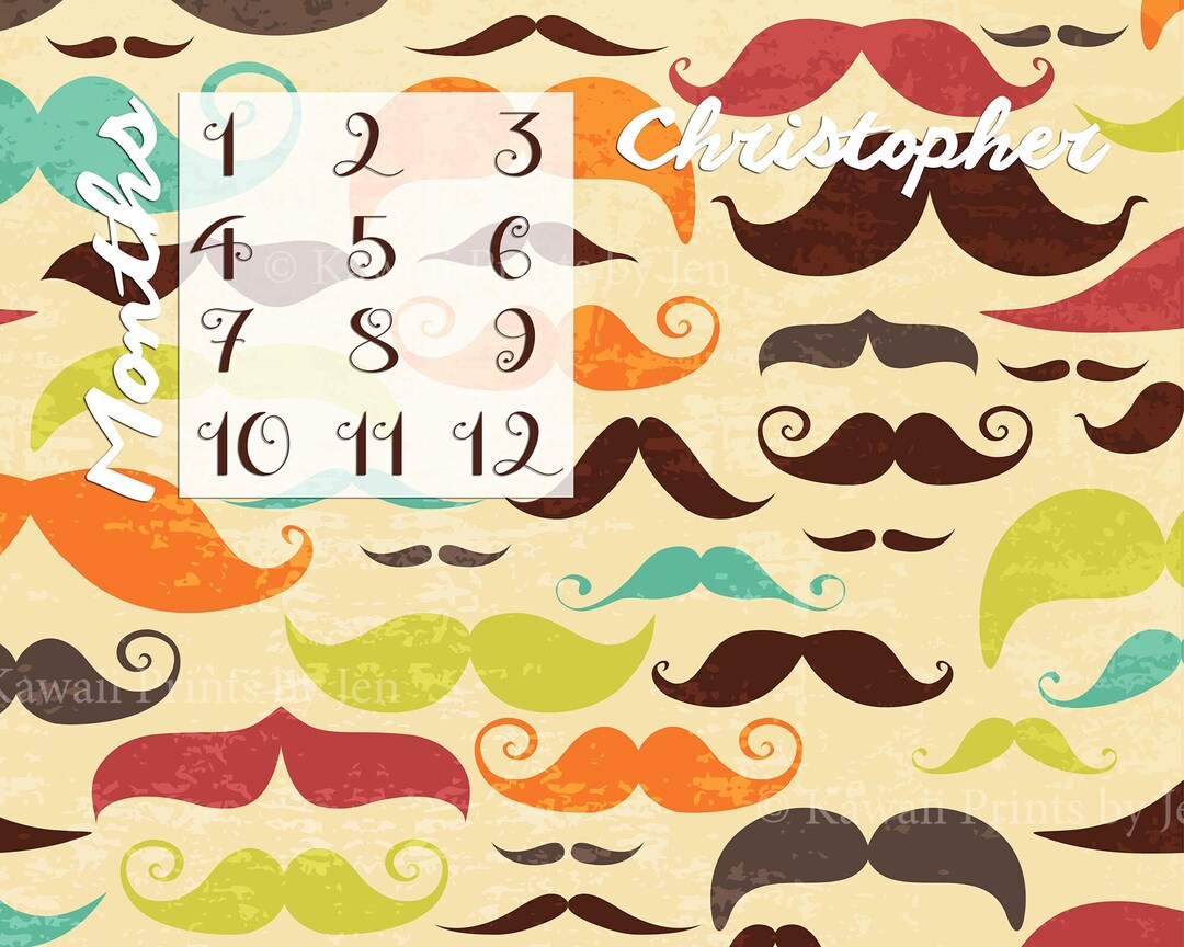 Mustache MONTHLY MILESTONE BLANKET, Calendar, Track Growth, Age, Watch ...