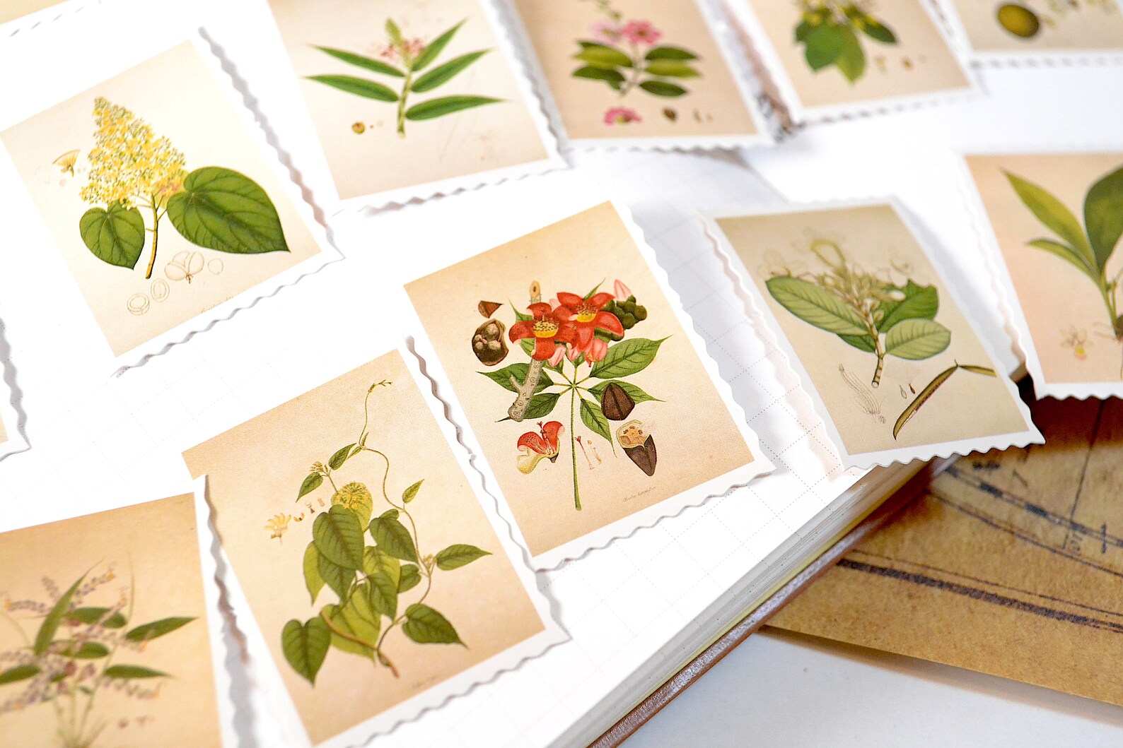 45pc Plants Stamp Stickers, Scrapbook Supplies - Etsy