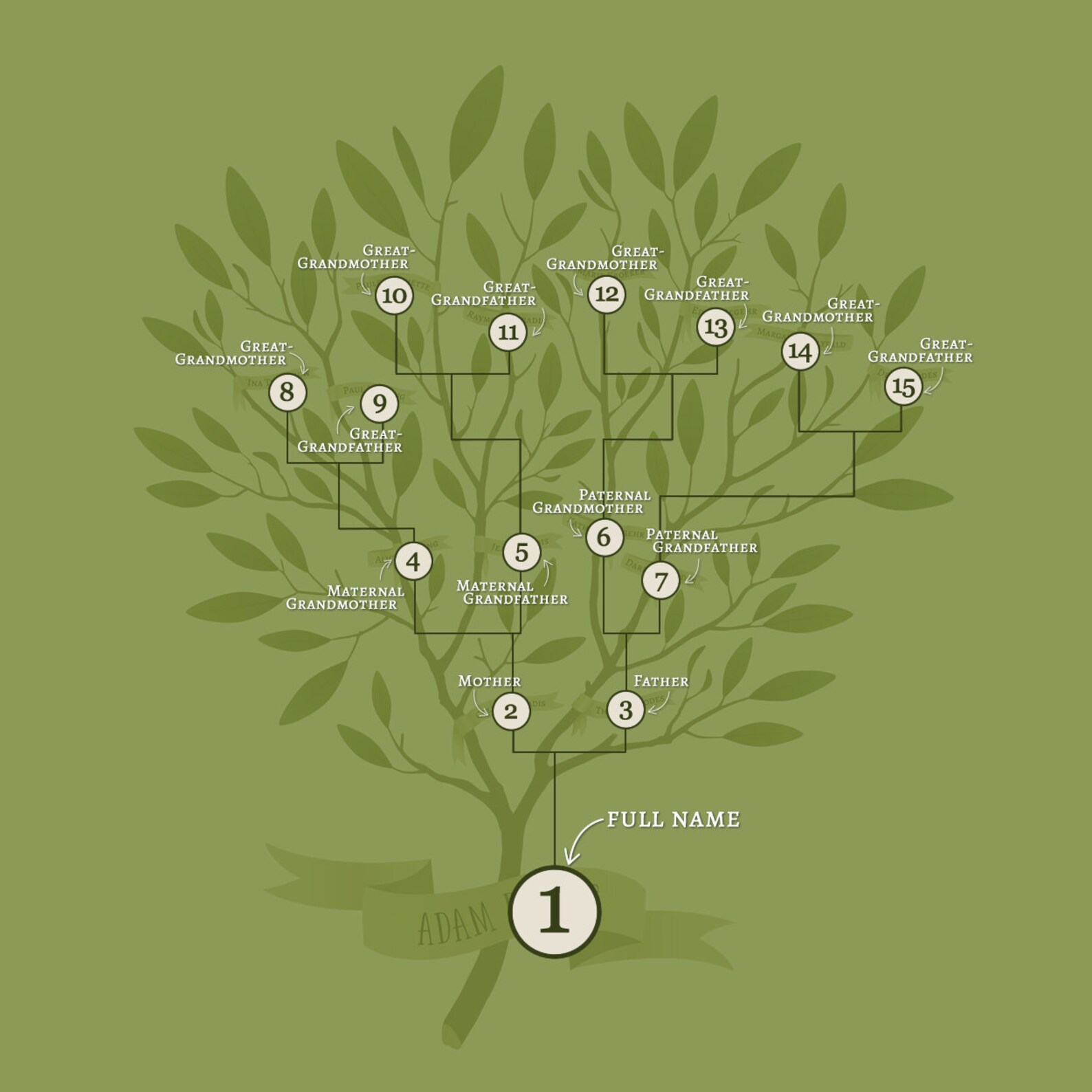 Family Tree Personalized Olive Tree Customizable Branches - Etsy