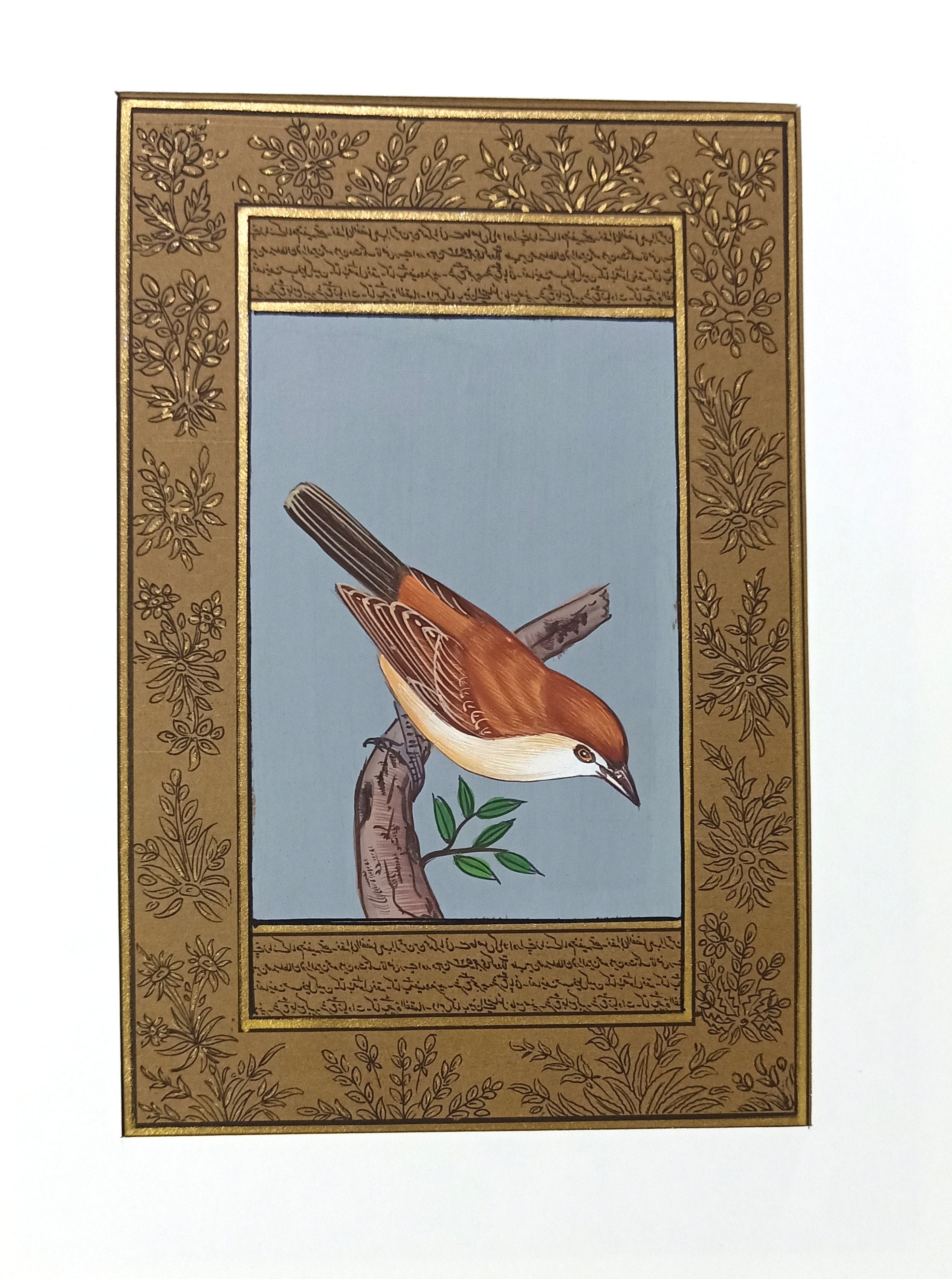 Indian Sparrow Bird Handmade Painting With Exotic Border Bird | Etsy