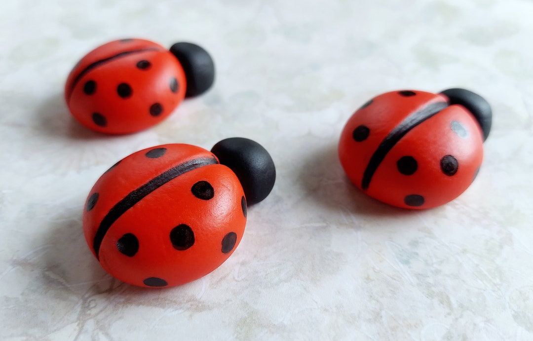 A Set of Cute 3D Fondant Lady Bugs - Etsy