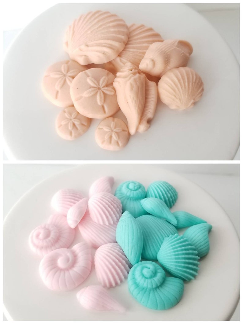 Assorted Fondant Seashells - Etsy