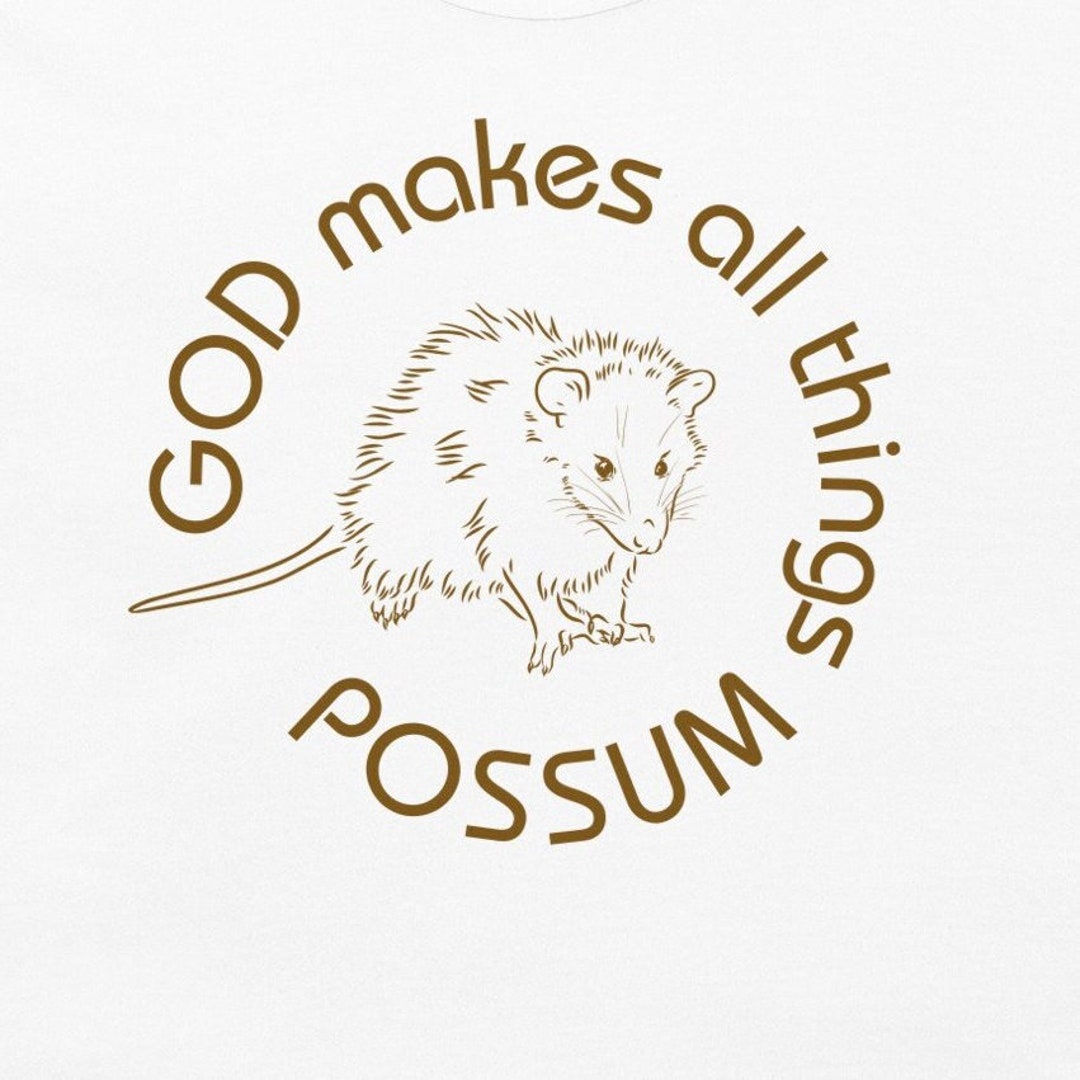 God Makes All Things Possum, God is Good, Funny Possum Shirt, Jesus is ...