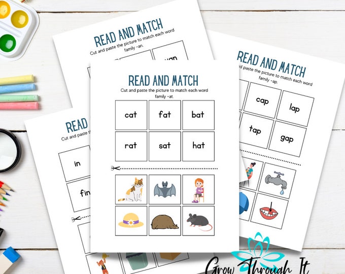 Color Matching Cut and Paste Activities Special Education - Etsy