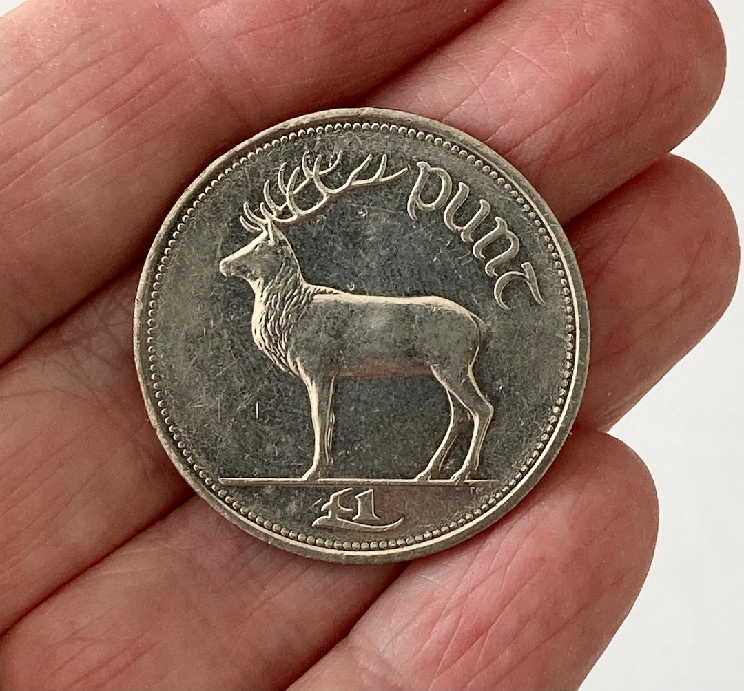 Old Irish Coins, 1 Pound Coin 1990 2000 Choose a Year - Etsy