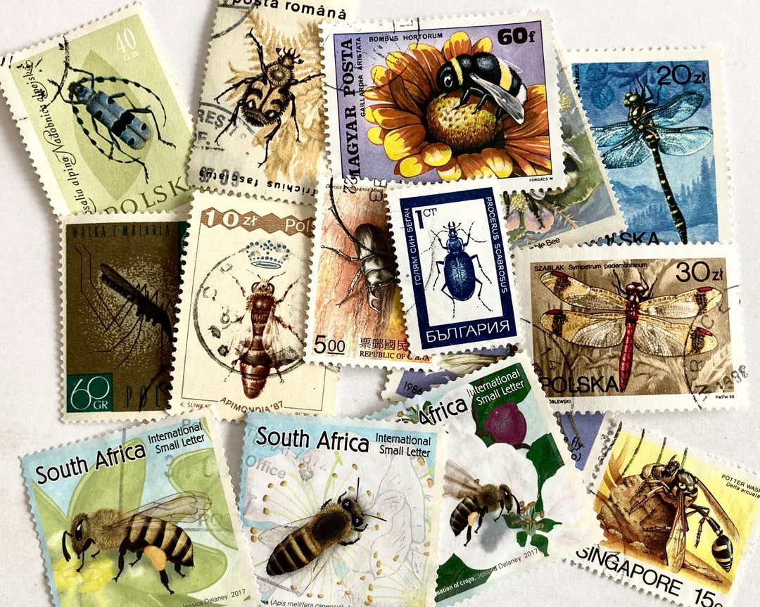 Insect Postage Stamps, What You See is What You Get - Etsy