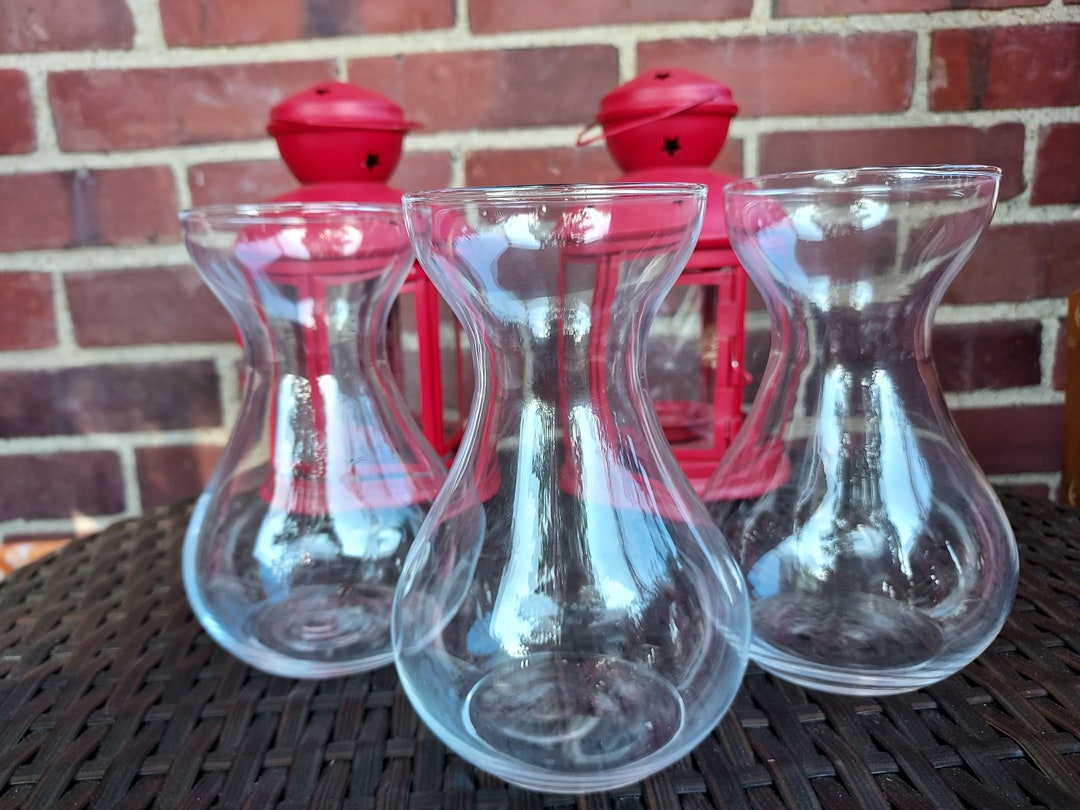 3 Clear Traditional Hyacinth Glass Vase for Indoor Bulb Forcing in ...
