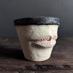 Fun Plant Pot, House Plants, Plant Pot, Handmade Planter With a ...