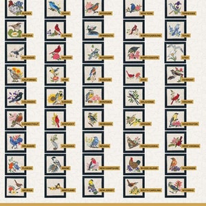 Birds & Flowers of the 50 States New Anita Goodesign - Etsy