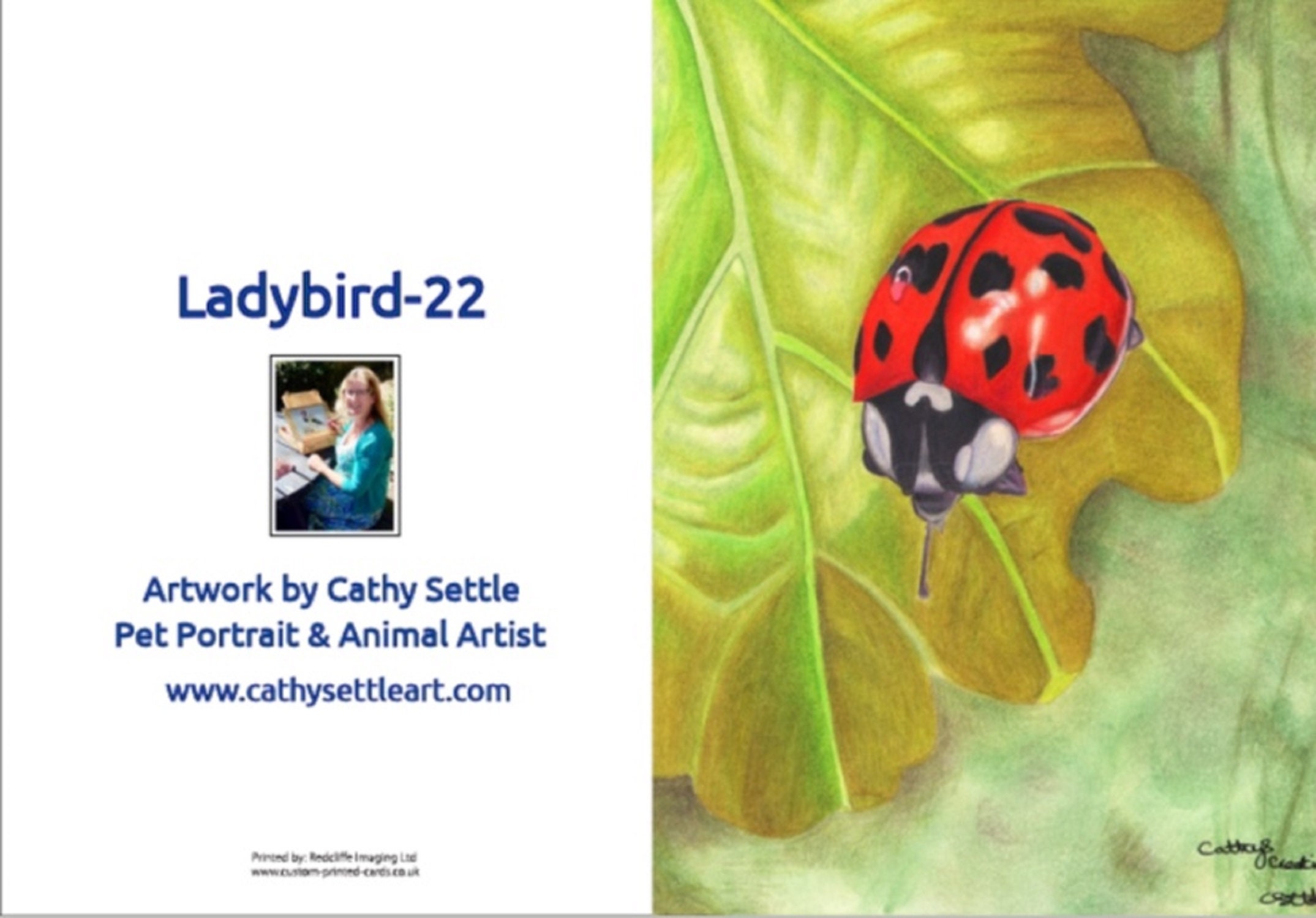 Ladybird Greetings Card, Blank High Quality Printed Cards From Hand ...