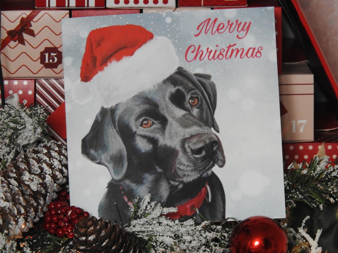 Black Labrador Christmas Card, High Quality Printed Cards From Hand ...