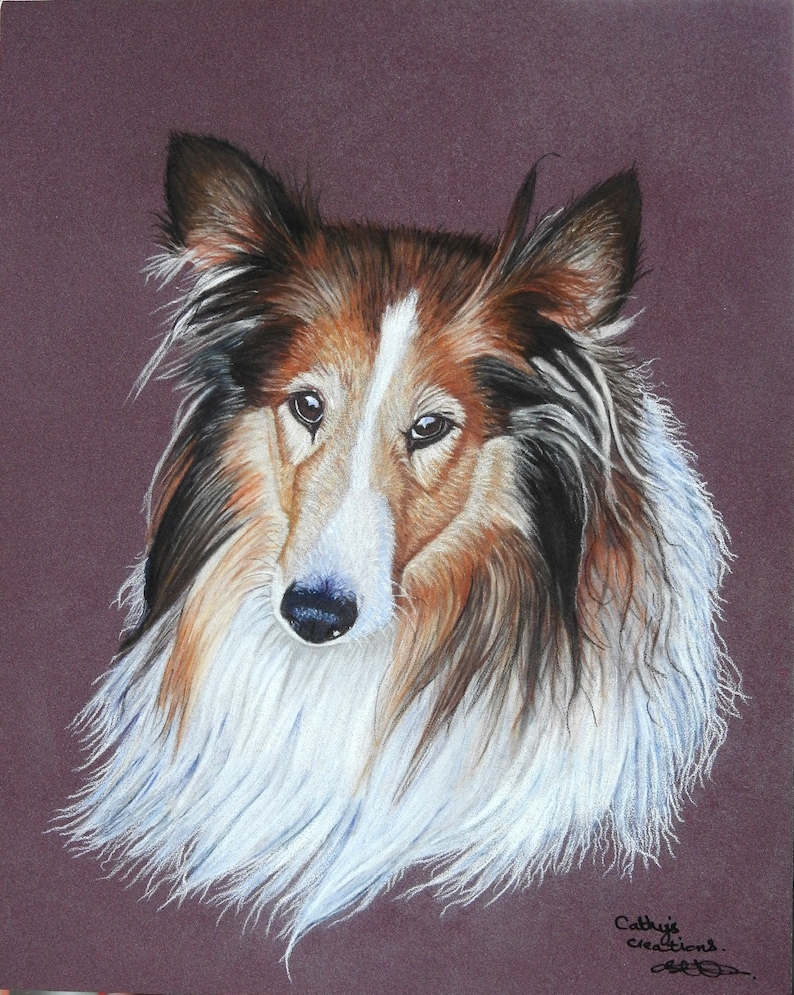 Rough Collie Greetings Card, Blank High Quality Printed Cards From Hand ...