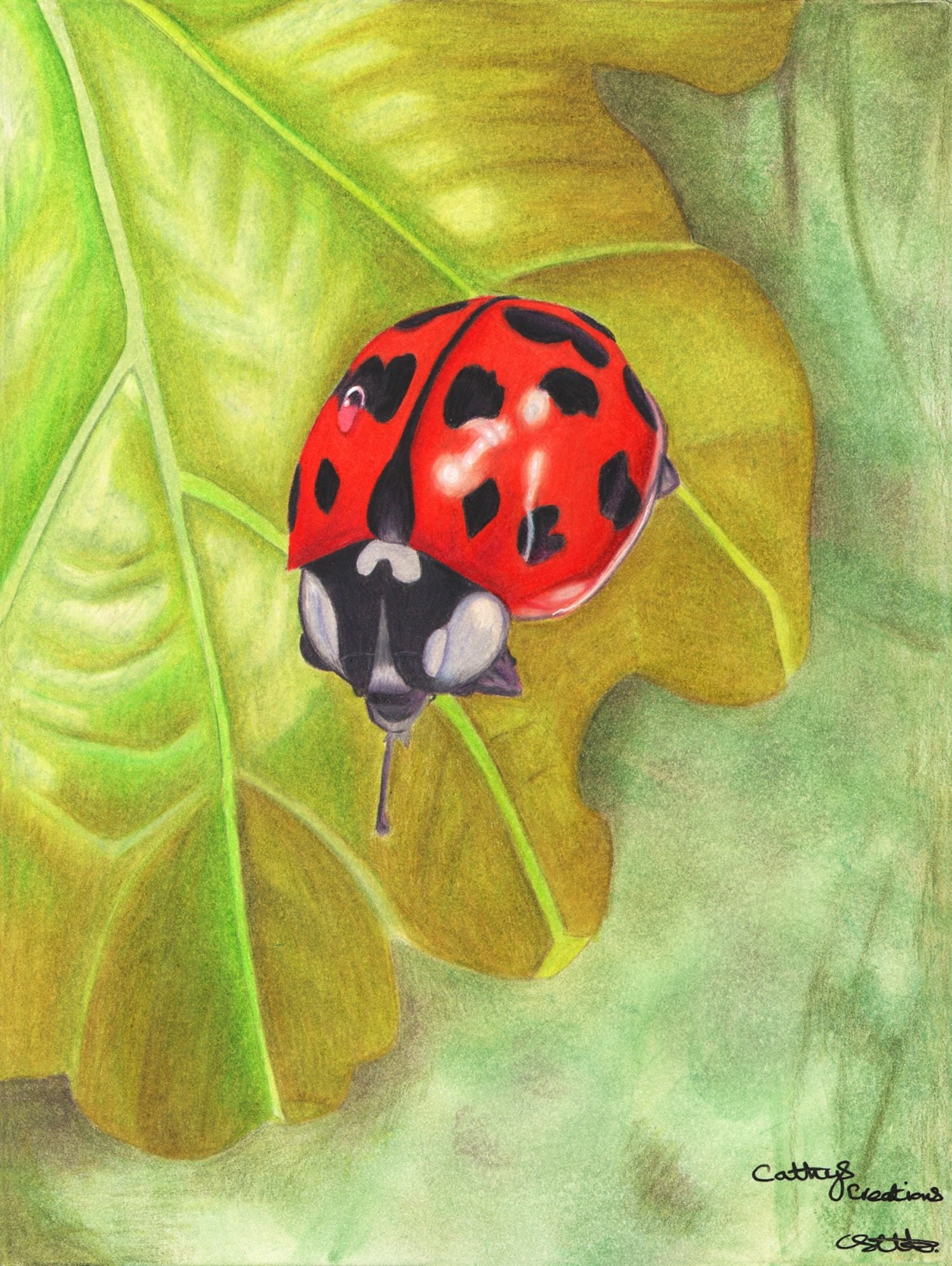 Ladybird Greetings Card Blank High Quality Printed Cards From - Etsy