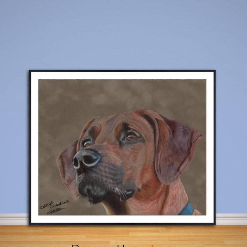 Rhodesian Ridgeback Fine Art Giclee Print, From Hand Drawn Coloured ...