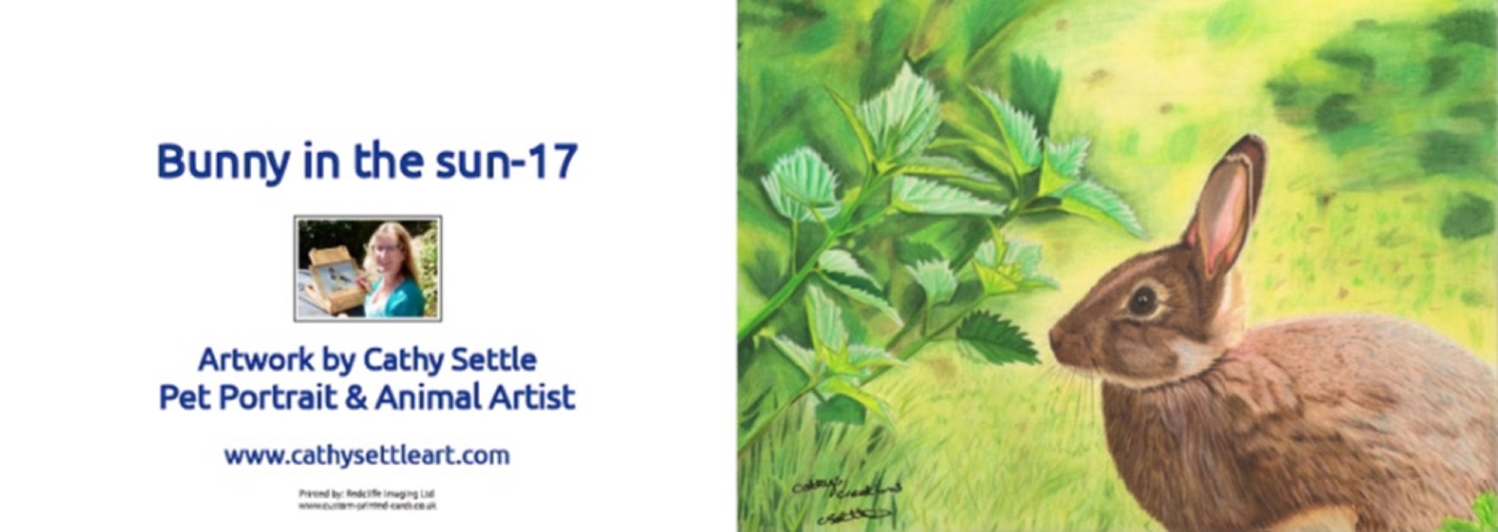 Bunny Rabbit Greetings Card, Blank High Quality Printed Cards From Hand ...