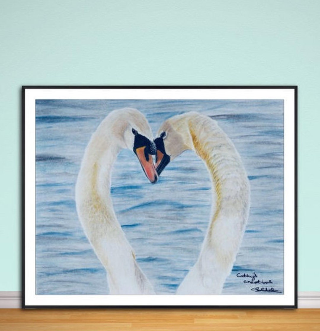 Swan Fine Art Giclee Print, From Hand Drawn Coloured Pencil Original ...