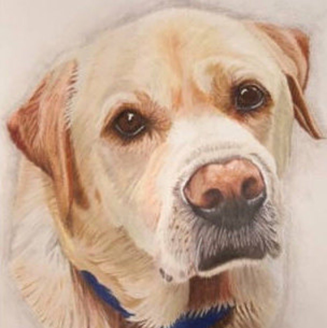Yellow Labrador Fine Art Giclee Print From Hand Drawn - Etsy