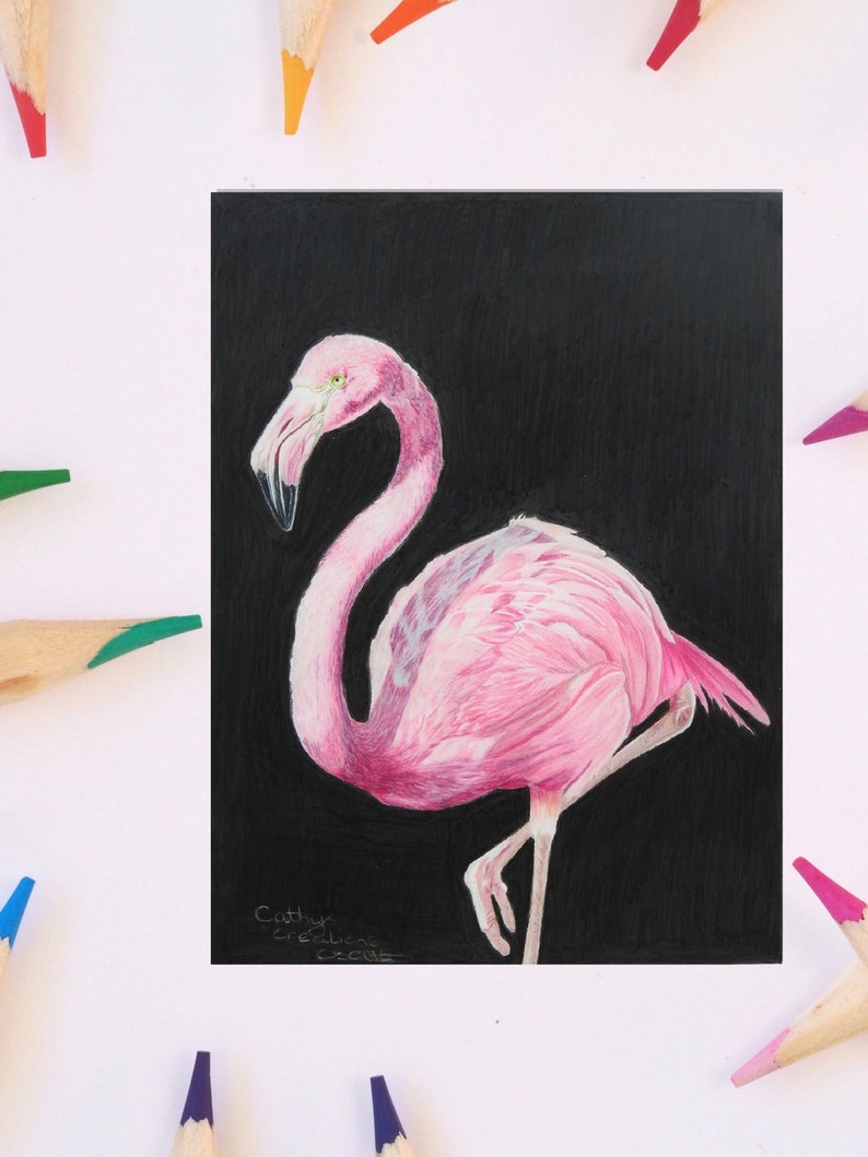 Flamingo Fine Art Giclee Print, From Hand Drawn Coloured Pencil ...