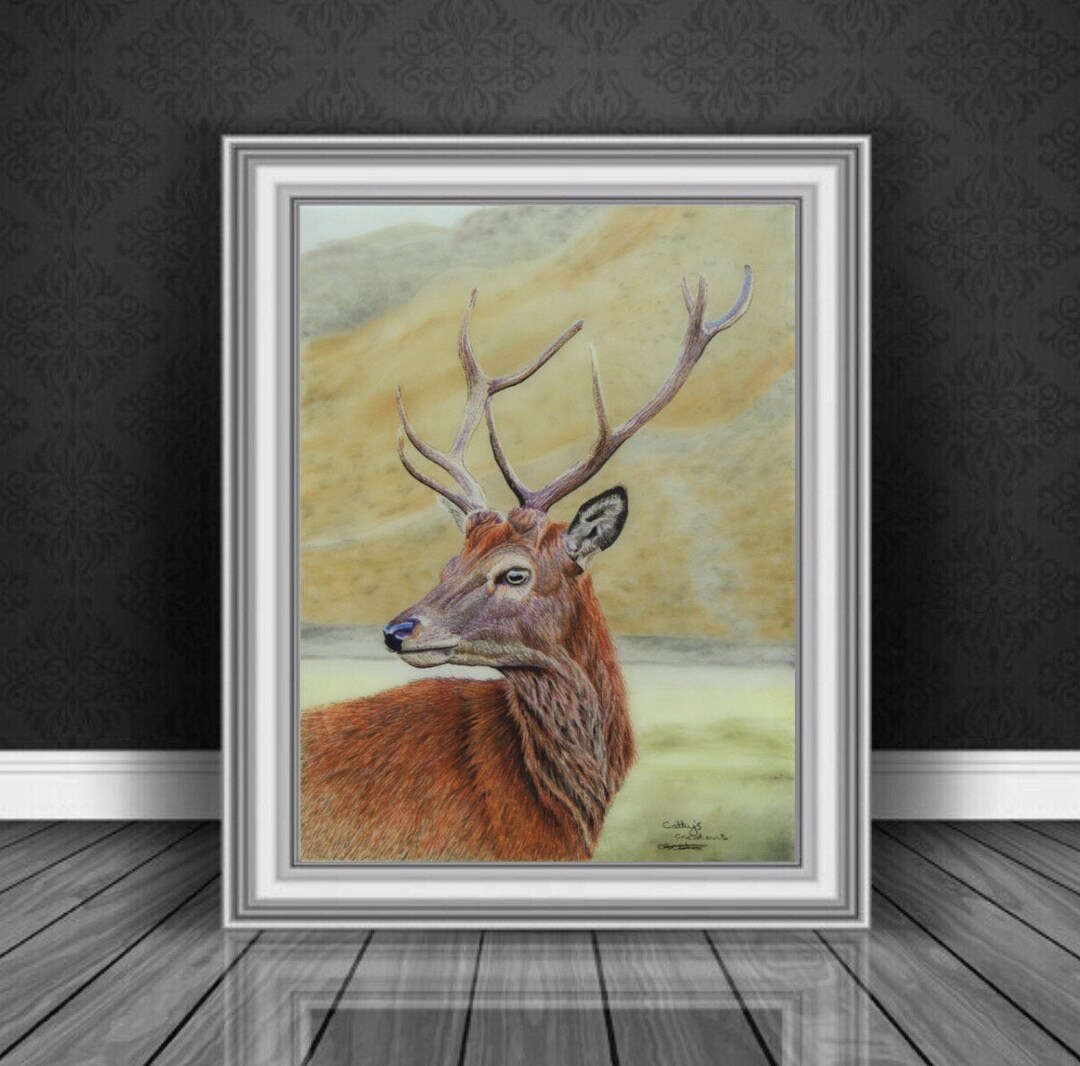 Stag Fine Art Giclee Print, From Hand Drawn Coloured Pencil Original ...
