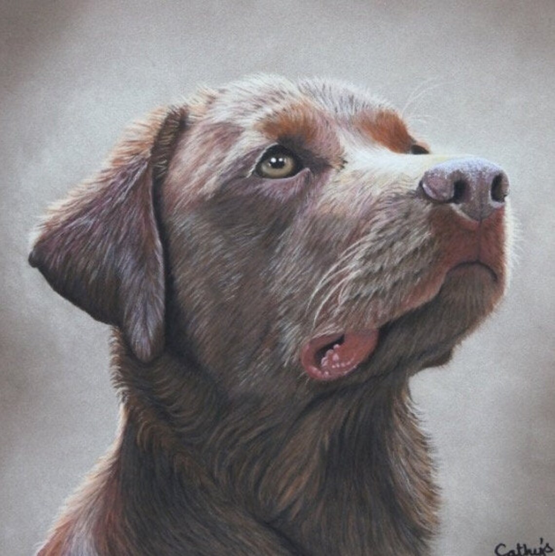Chocolate Labrador Fine Art Giclee Print From Hand Drawn - Etsy