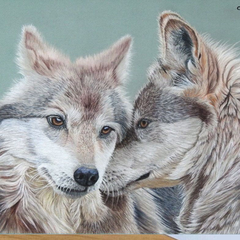 Wolves Blank Greetings Card, High Quality Printed Cards From Hand Drawn ...