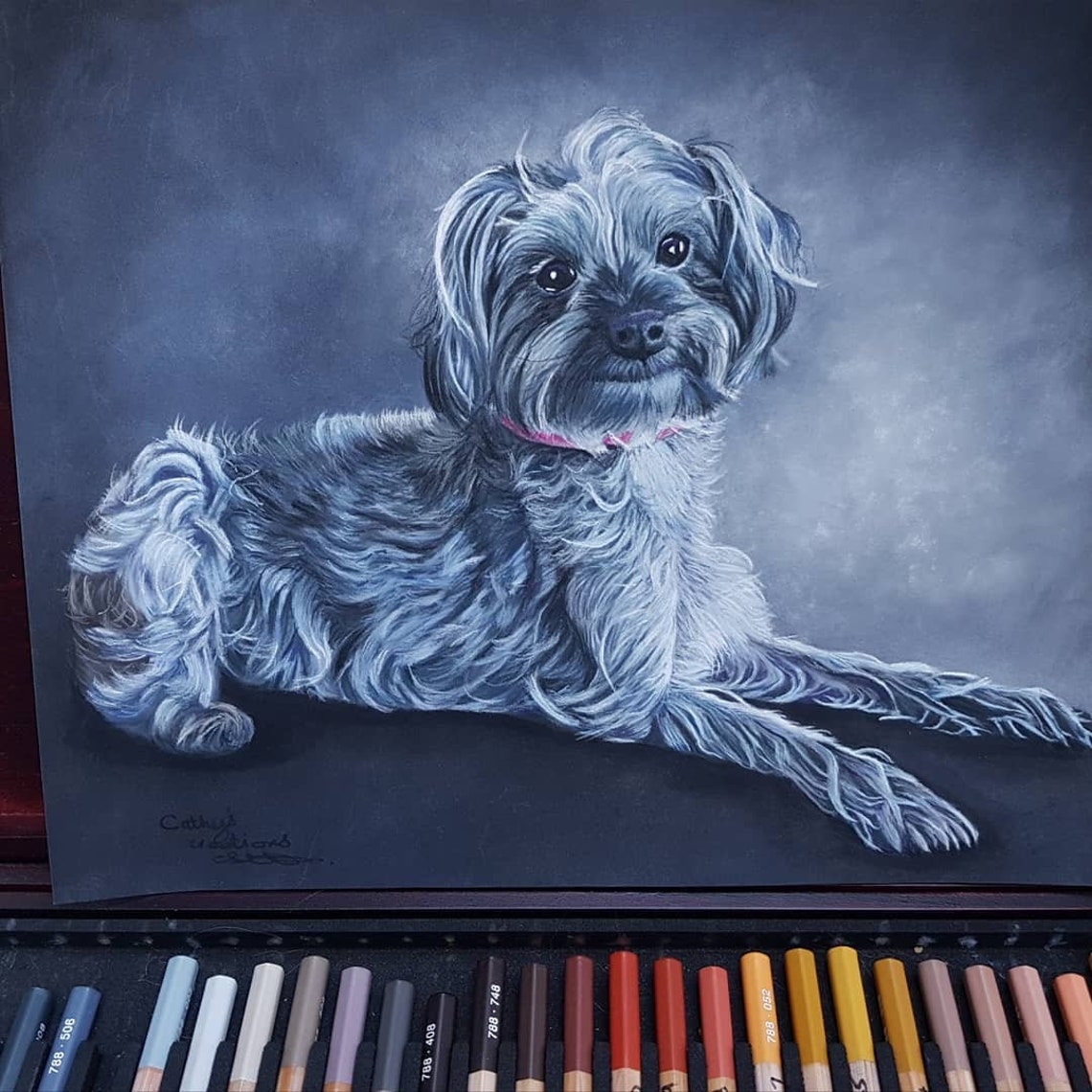 Yorkipoo Fine Art Giclee Print, From Hand Drawn Coloured Pencil ...