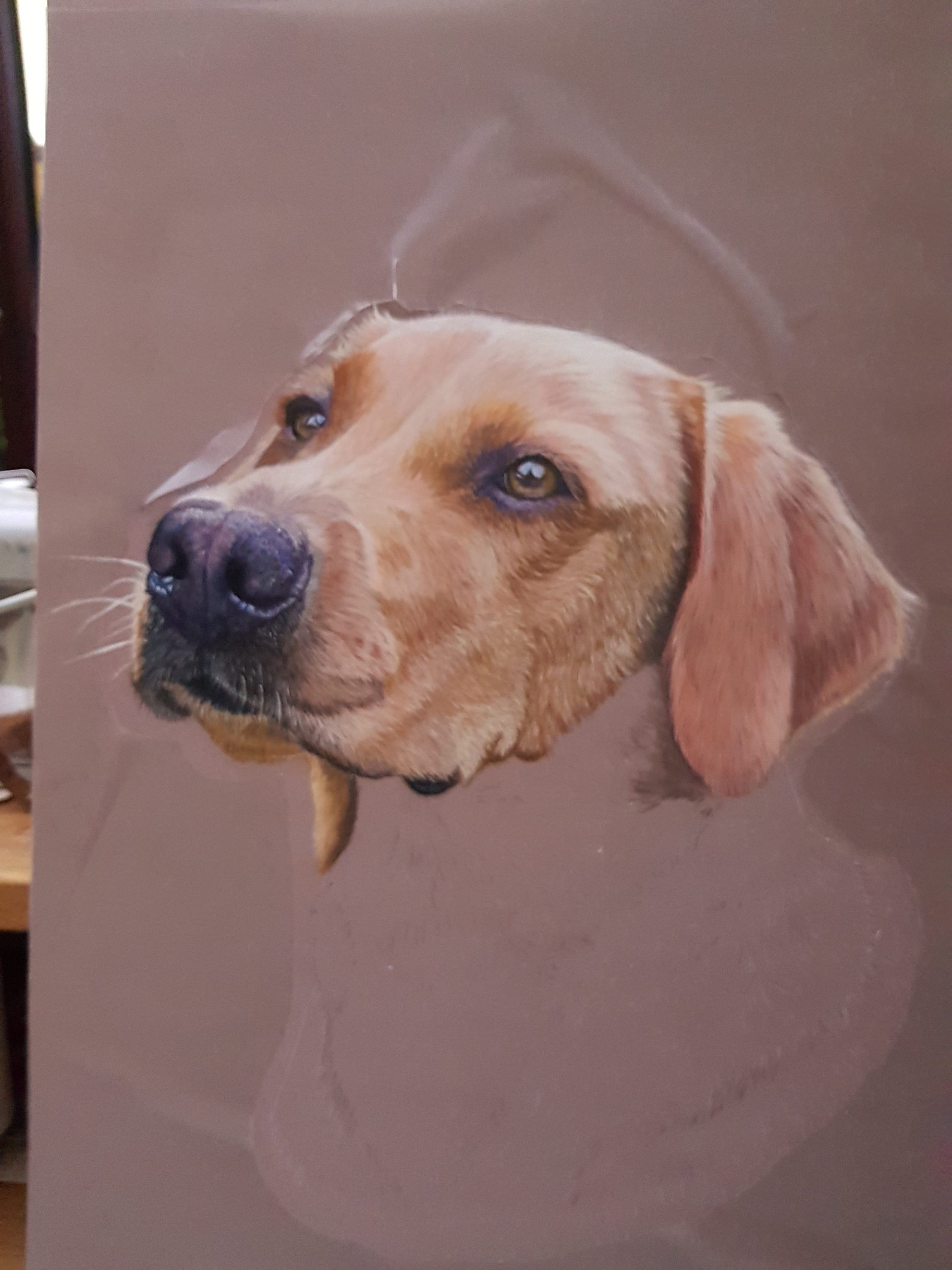 Fox Red Labrador Fine Art Giclee Print From Hand Drawn - Etsy