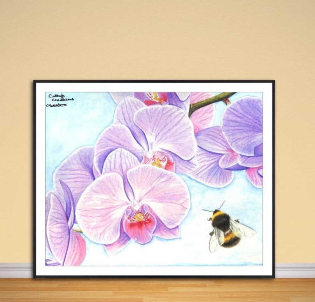 Phalaenopis Orchid & Bee Giclee Fine Art Print, From Hand Drawn ...