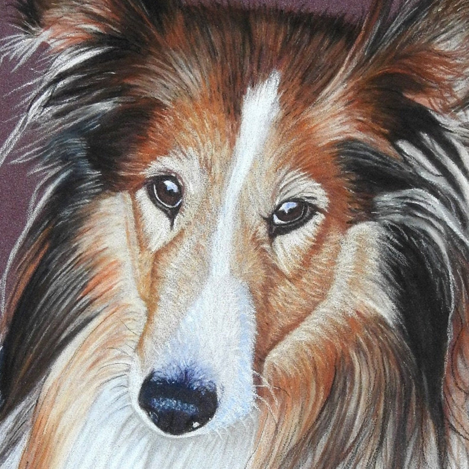Rough Collie Greetings Card, Blank High Quality Printed Cards From Hand ...