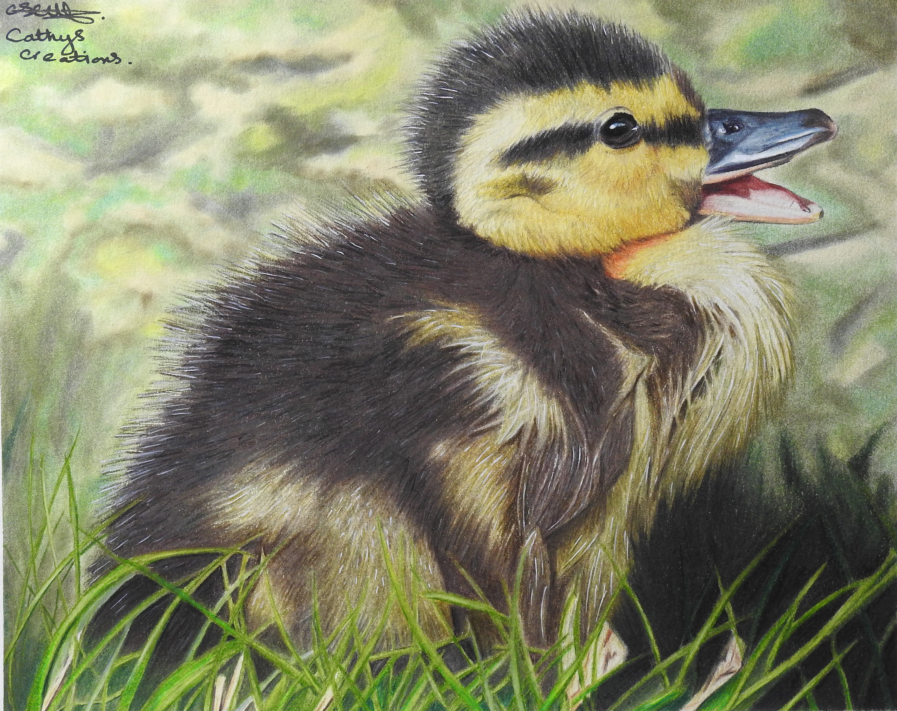 Duckling Fine Art Giclee Print From Hand Drawn Coloured - Etsy