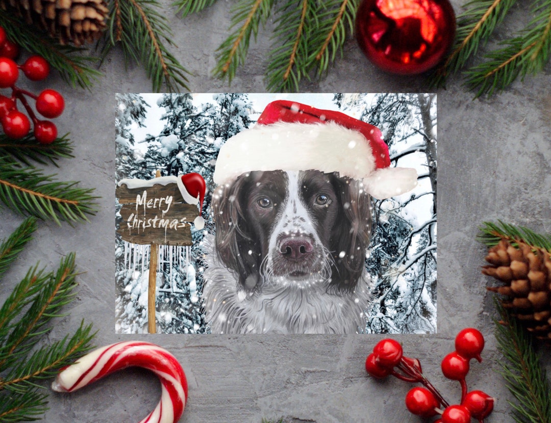 Springer Spaniel Christmas Card, High Quality Printed Cards From Hand ...
