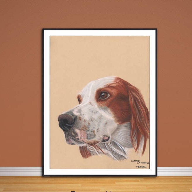Irish Red and White Setter Fine Art Giclee Print, From Original Hand ...